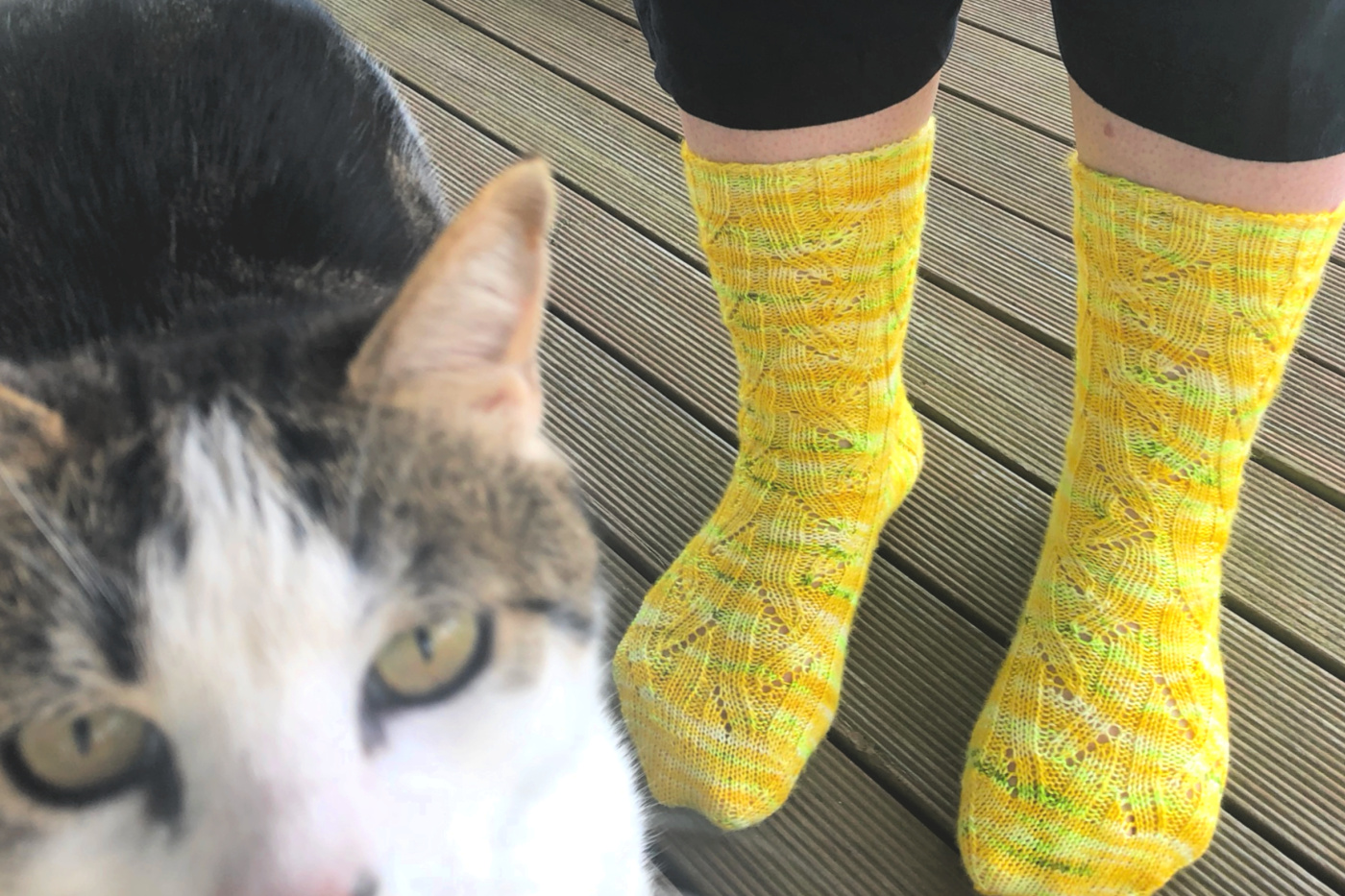 Soft Socks - Little Yellow Cat